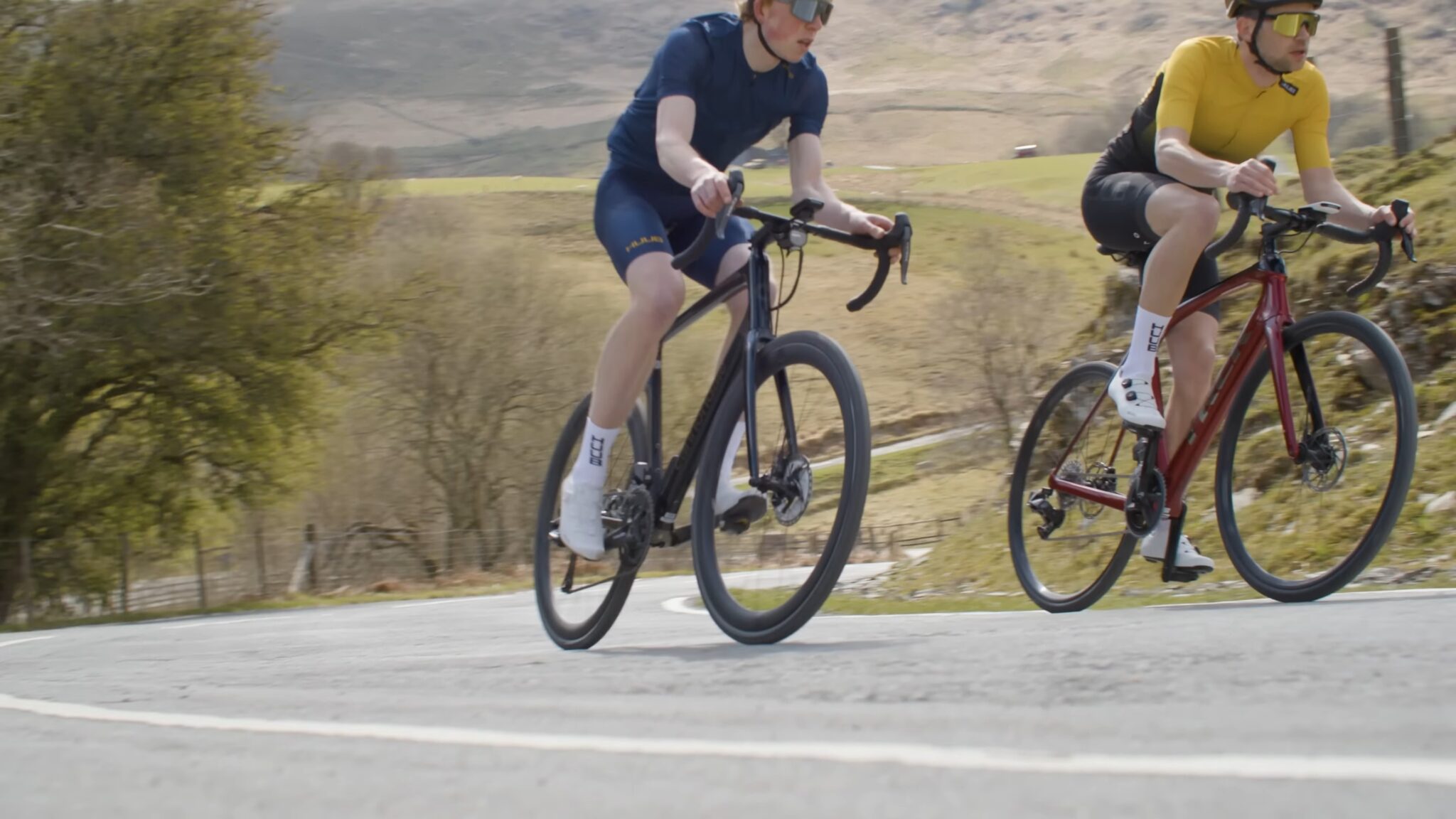 Cannondale vs Trek Who Wins The Race - String Bike