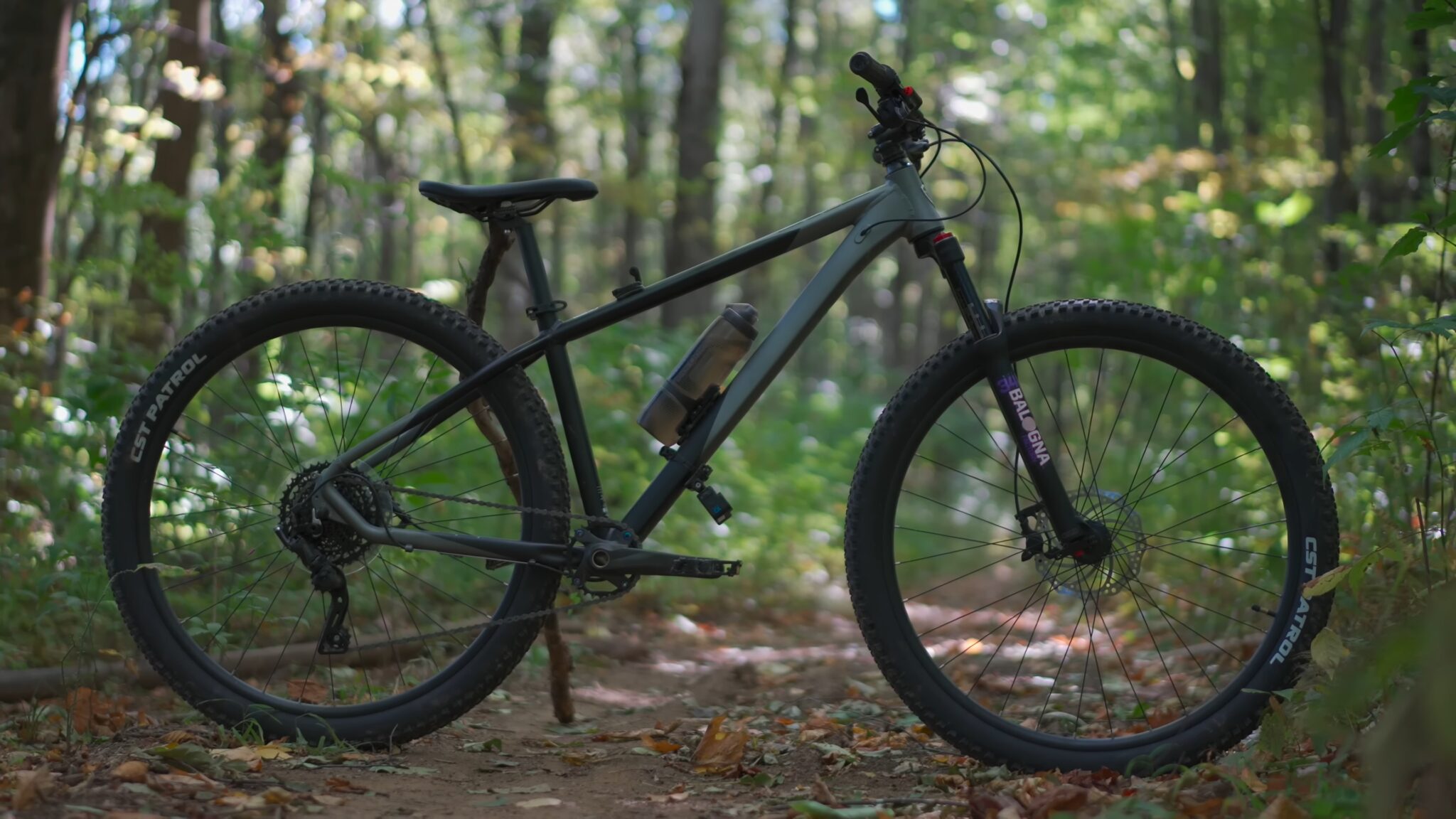 Kent Vs Schwinn Bikes (5 Key Differences Explained) - String Bike