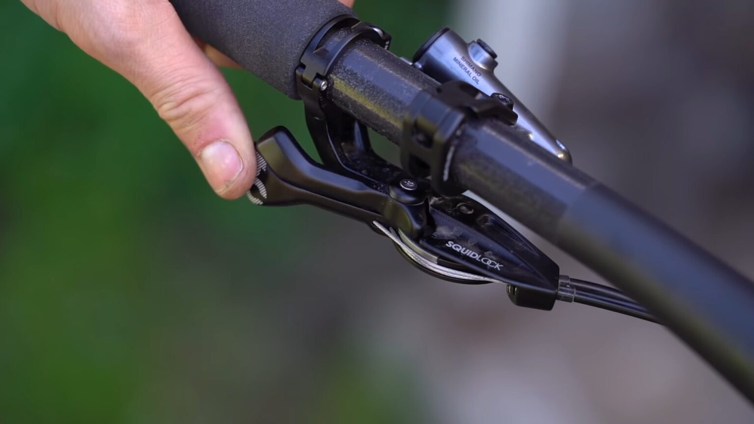 Giant Trance vs Anthem: Which Is Better? - String Bike