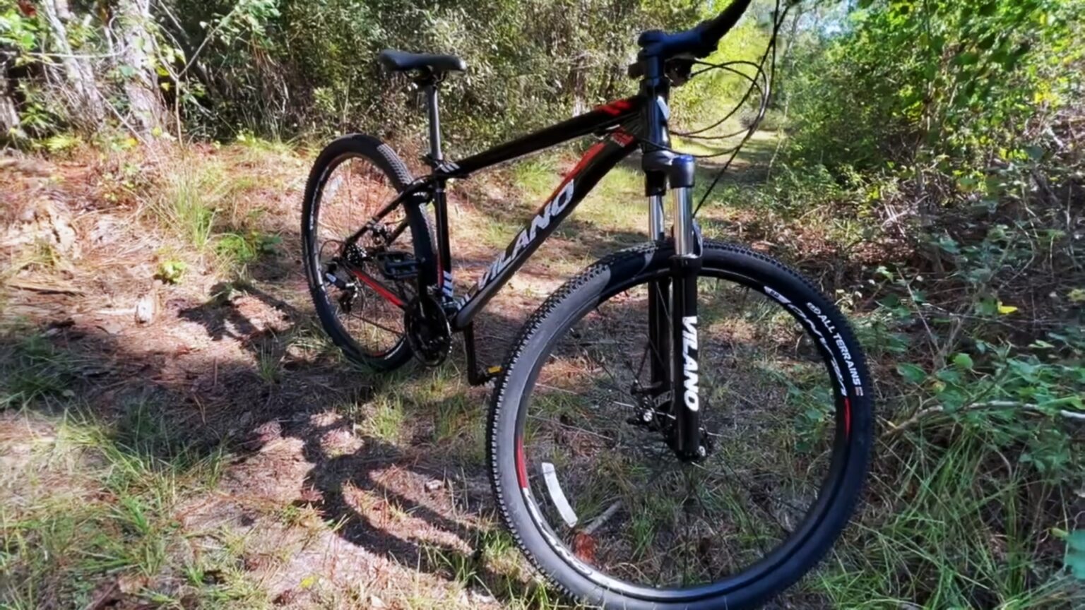 Cruiser Bikes For Heavy Riders - 2024 Guide - String Bike