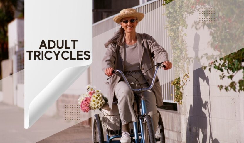 Advantages and Benefits of Adult Tricycles - Your Next Best Ride ...