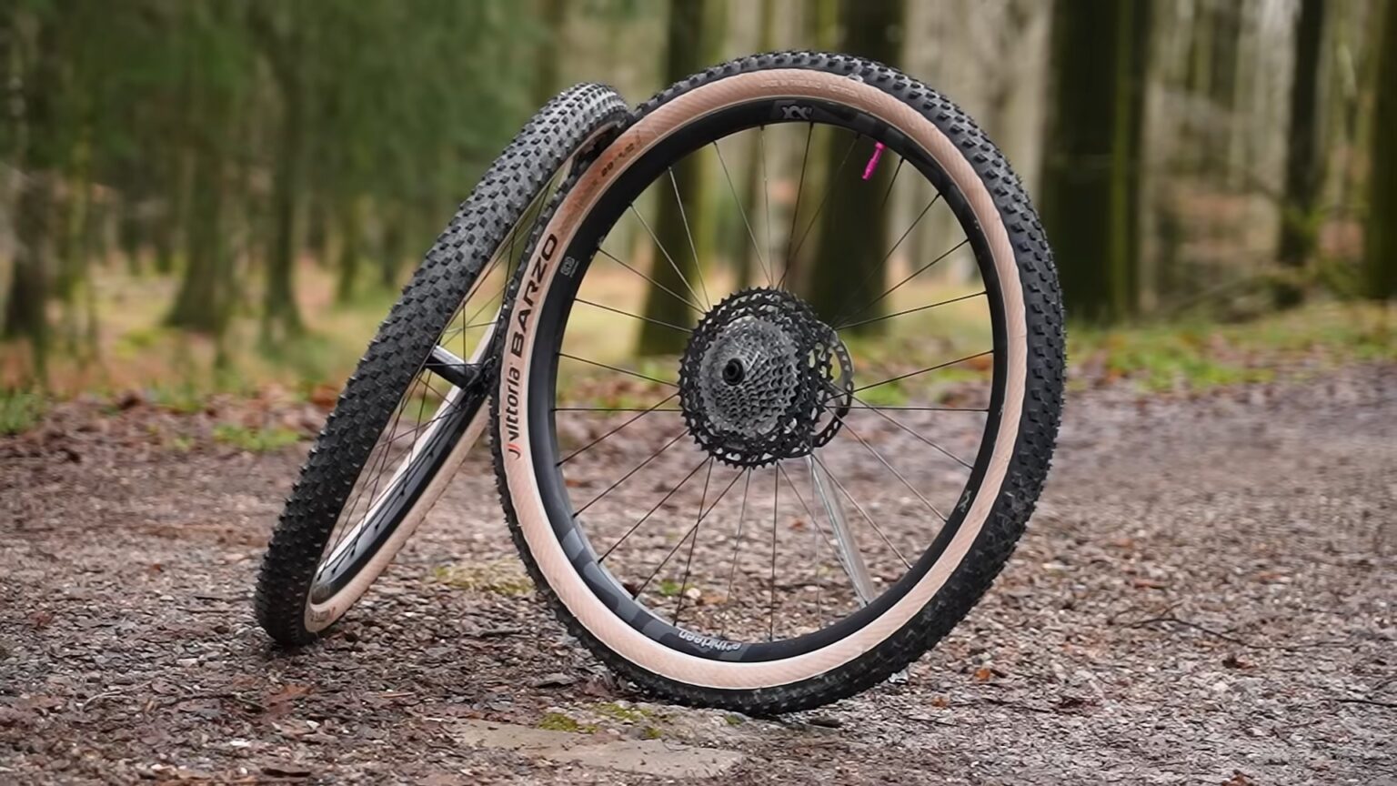 Which Mountain Bike Wheels Size Fits My Bike Well? Rolling Right ...
